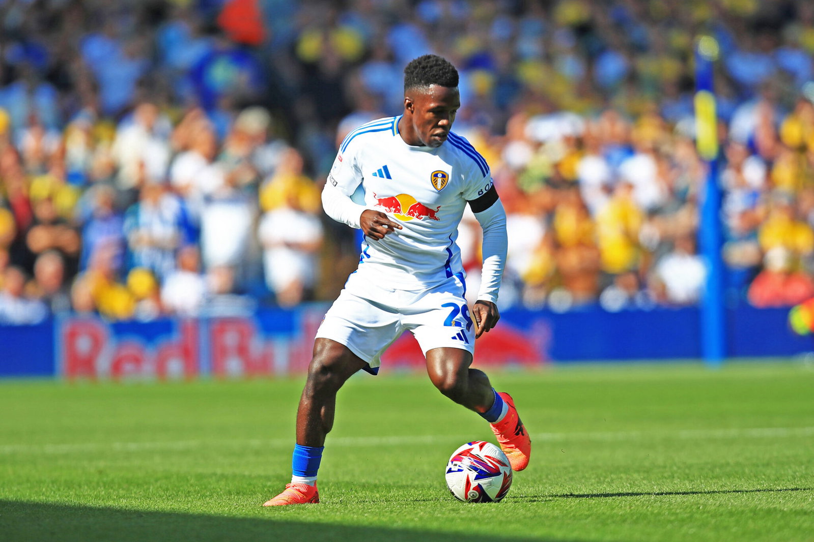 Wilfried Gnonto can be so much more, insists ex-Leeds manager