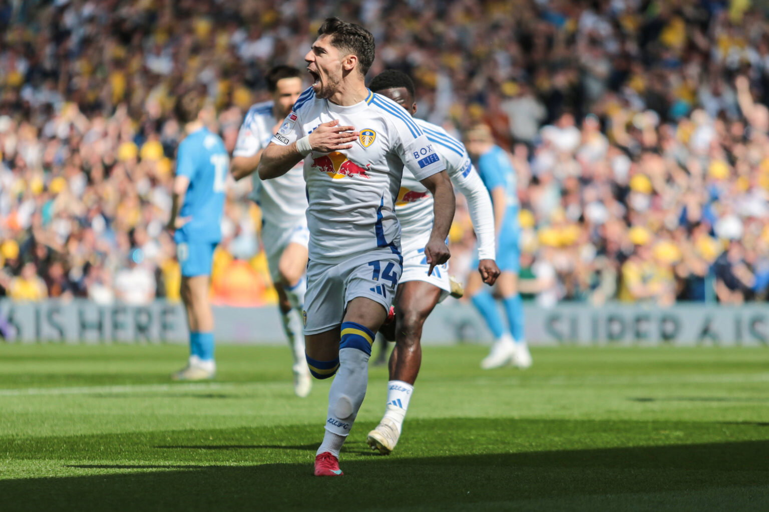 Tottenham set to make Leeds promotion hero available for cut-price transfer